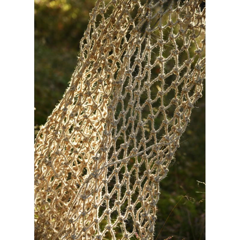 Rete, filet de rétiaire